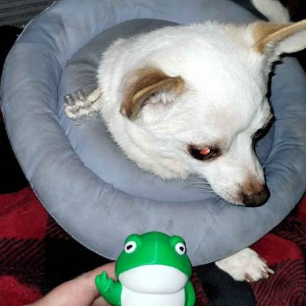 Rebellious Baby Yoda Figurine 3D Printed Grogu With Middle Finger Fun ...