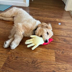 Severed Human Hand Dog Toy Funny Horror Toy With a Squeaker Great Gift ...