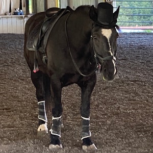 Top Hat for Horses in White, Black, Sky Blue, Royal Blue, Red, Caramel ...