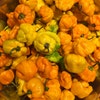 Whole Fresh Scotch Bonnet Peppers. Fresh Pods of Genuine Scotch Bonnets ...