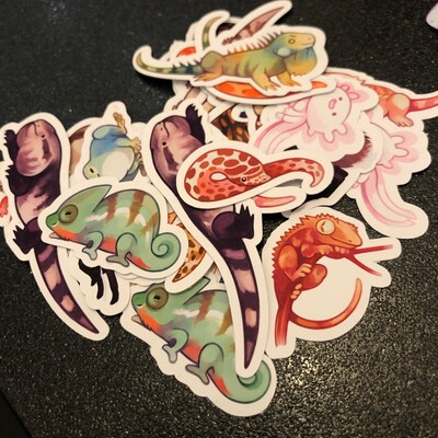 Boop a Snoot Ll Sticker Pack - Etsy