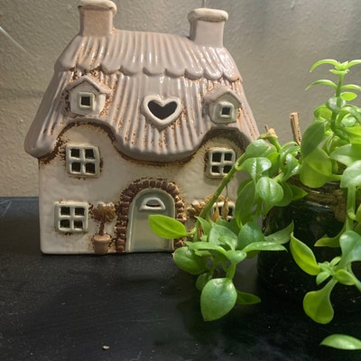 White Screw Shells 3-8cm Unicorn Horns Spiral Shell Beach Wedding ...