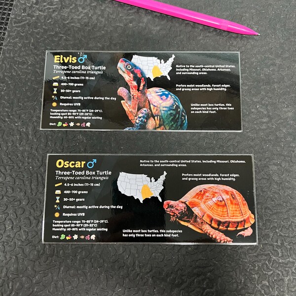 Custom Corn Snake Decal, Personalized Snake Name Tag, Vinyl Sticker ...