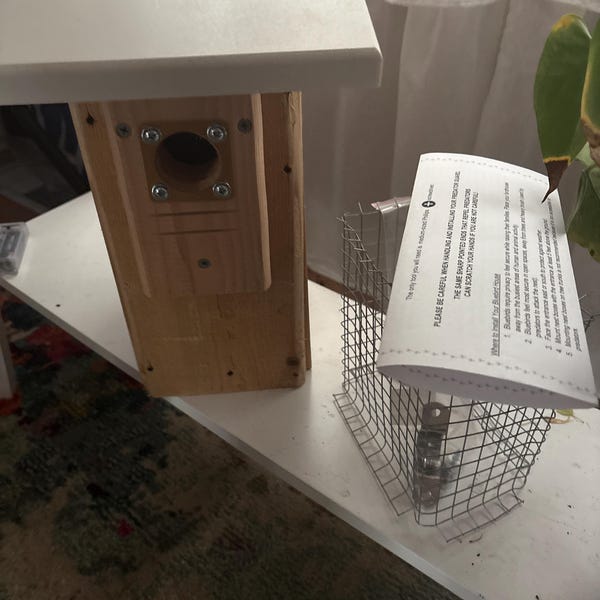 Insulated Roost Box for Songbirds | Cedar | Predator Guard ...