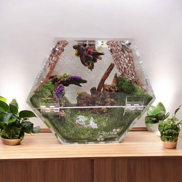 The Hive. Medium Spider Cage, Bug Cage, Custom Enclosures, Hive Customs ...