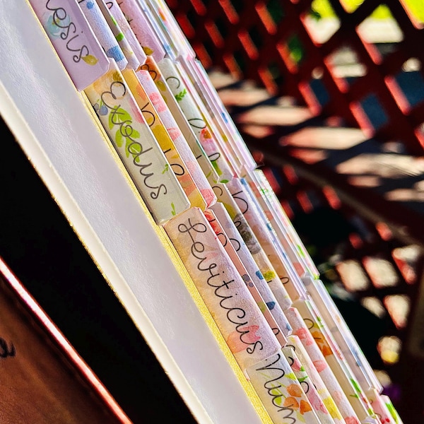 Bible Tabs - Laminated Bible Tabs - Christian Gifts - Bible Study ...
