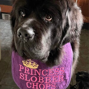 Big Dog Slobber Drool/slobber Bibs 2 Designs - Etsy