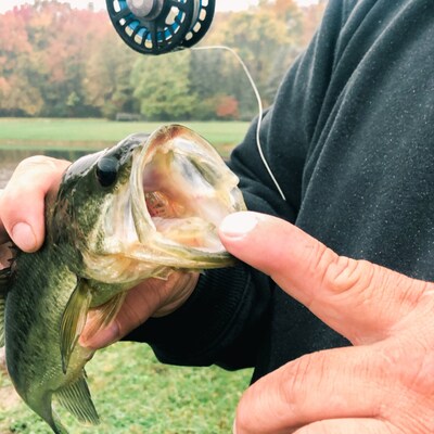 Size 10 Bream Reaper, Pan Fish Fly, Bass Fly - Etsy