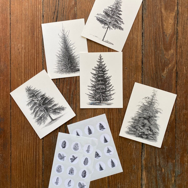 Pine Tree Note Card Set of 10 in White or Light Ivory With Matching ...