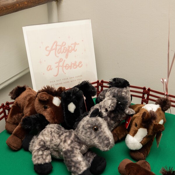 Western Table Sign Cowboy Birthday Drink Sign Retro Wild West 1st Rodeo ...