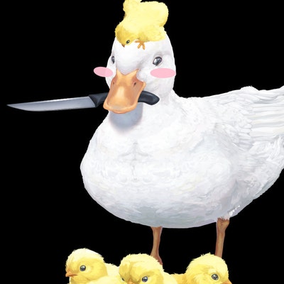 Racoon Vtuber Avatar Full Body/fully Rigged Live2d Model - Etsy