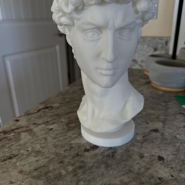 Michelangelo’s David Triple Light Switch Plate Cover in an Antique ...