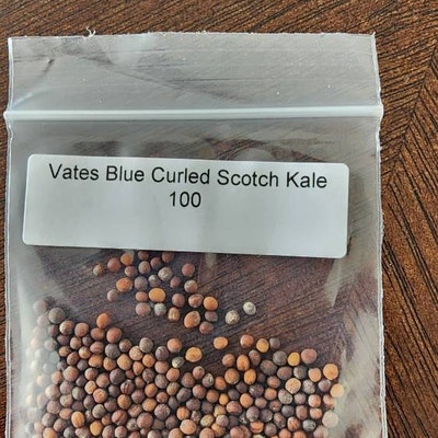 Blue Flax Seed, Flower Seeds, Beautiful Striking Blue Flax Flowers - Etsy