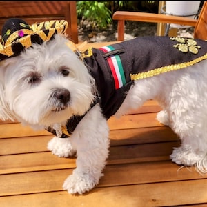 Mariachi Dog Costume/ Mariachi Outfit for Dogs/ Mexican Dog Costume ...