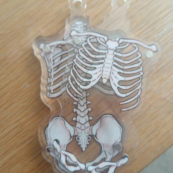 Skeleton OPENING Shaker Keychain | Inserts Sold Separately - Etsy