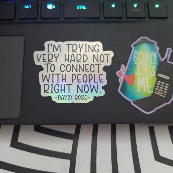 HOLOGRAPHIC or Matte Vinyl Sticker, Decal, Waterproof, David Rose ...