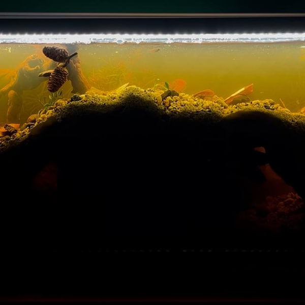 Printable Aquarium & Terrarium Cave STL, Vertical Cliff Hide Shelter ...