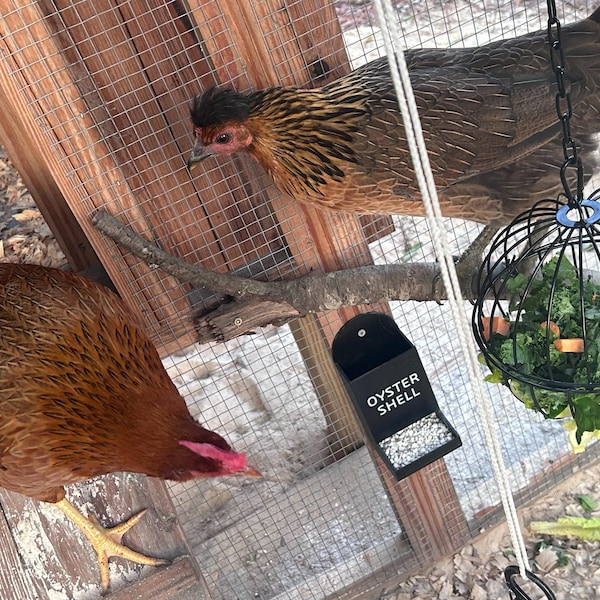 Chicken Oyster Shell/grit Feeder – 3D Printed, Mess-free Design for ...