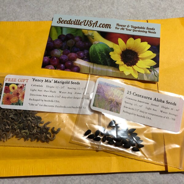 25 AMERICAN ROSE (centaurea Aloha / American Starflower / American ...