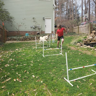 Dog Agility Equipment Weave Pole Guide Wires for 12 Weave Poles 10 ...