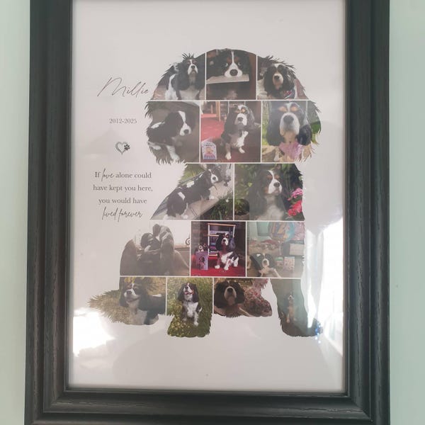 Cocker Spaniel Photo Collage Print, Personalised Pet Lover Gift, Pet ...