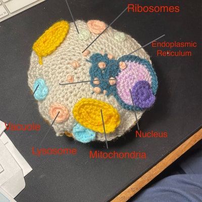 Animal Cell Eukaryotic Mini Pillow Crochet Pattern PATTERN ONLY PDF ...