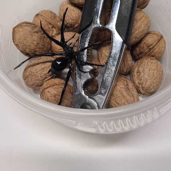 3D Printed Rocky Mountain Wood Tick Replica: Real World Scale ...