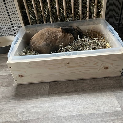 Rabbit Hay Feeder 3 in 1 Hay & Food Bowls With Litter Tray - Etsy UK