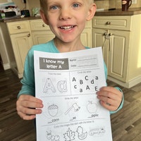 ABLLS-R Aligned B9 Block Designs on Picture Cards Task Cards, Pictures ...