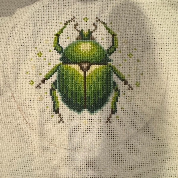 Green Beetle Cross Stitch Pattern, Scarab Embroidery (PDF Pattern) - Etsy