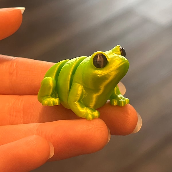 Fidget Frog Fidget Toy, Articulated Sensory Toy, Tiny Frogs, Flexible Frog, Desk Fidget Toy ...