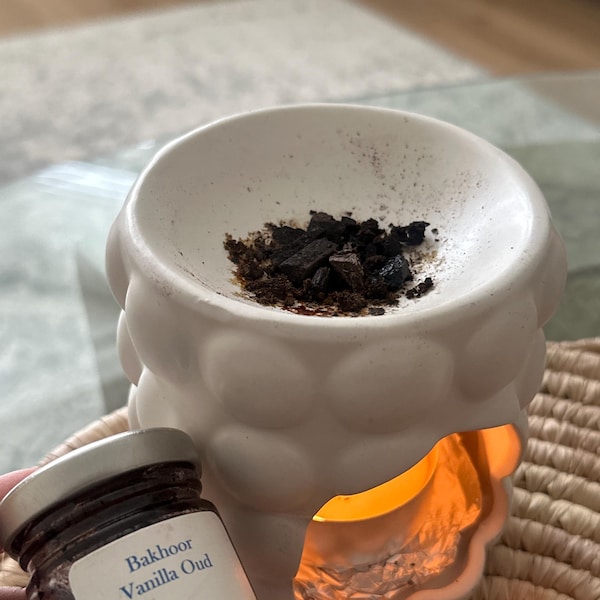 Onycha-operculum Hard - Operculum Shells, Sea Shells, Devils Nails ...