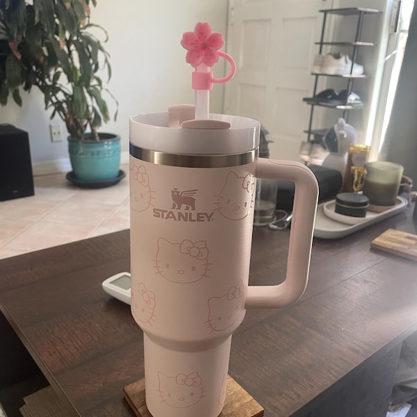 HK Owala 32oz Pink Water Bottle, Sanrio Inspired Hello Kitty, Kawaii ...