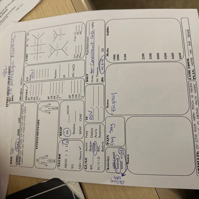 Multi-patient Report Sheet - Etsy