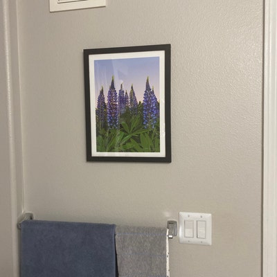 See Wisconsin, Eye Chart - Etsy