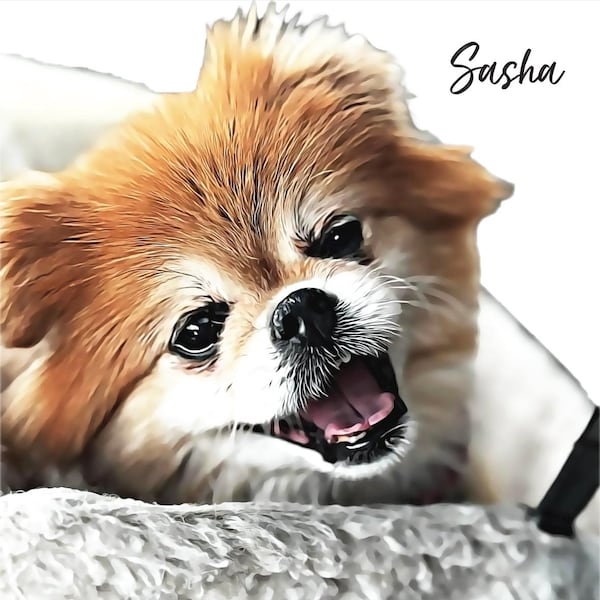 Please Do Not Flush...— Funny Bathroom Rules Canvas, Toilet Humor ...