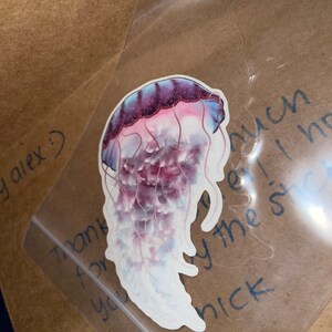 Everything Bagel Sticker - Etsy