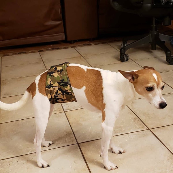 Male Dog Belly Band Sewing Pattern Xxsm–xxlg – PDF DIY Diaper Wrap for ...