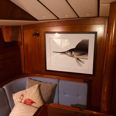 Blue Conch Shell Nautical Vintage Style Art Print Beach House - Etsy