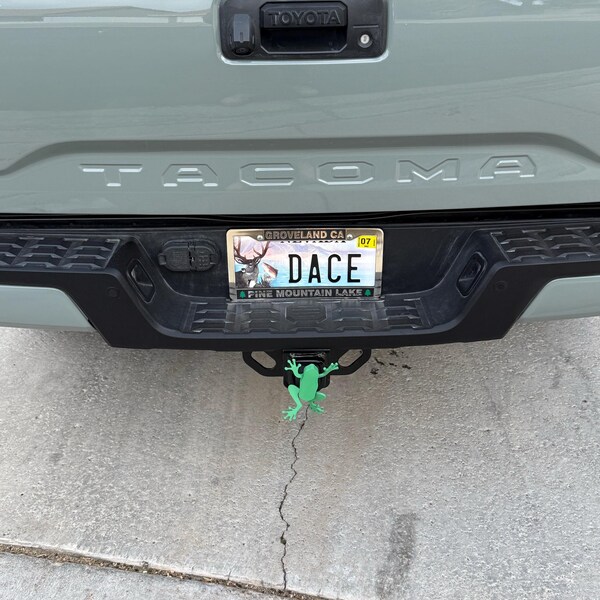 Yard Spinner - Daisy (pick Your Color) - Etsy