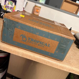 Tamarillo - Tree Tomato Box - Etsy