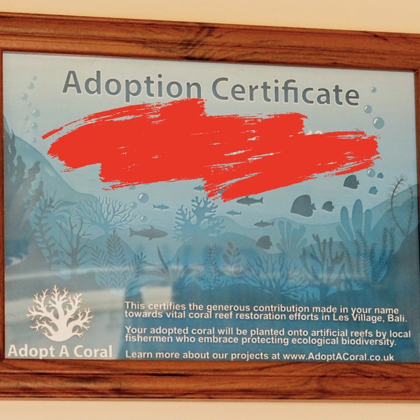 Classic Style Black White Oak Walnut Mahogany Country Pine Picture ...