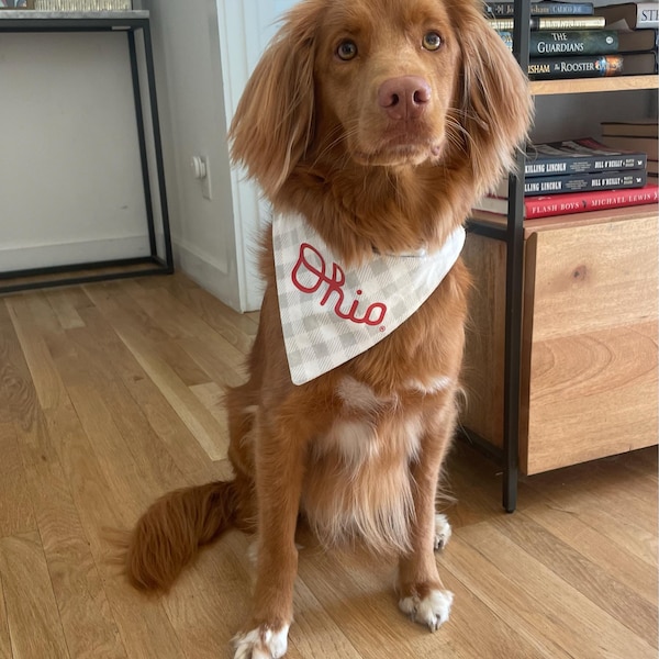 The Ohio State University Brutus Buckeye, Licensed, Over the Collar Dog ...