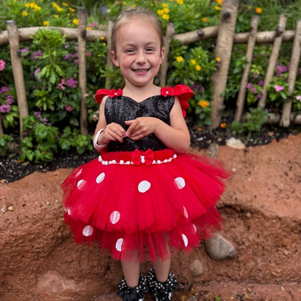 Red Tutu Dress for Baby & Toddler | Girl Princess Dress | Toddler Tulle ...
