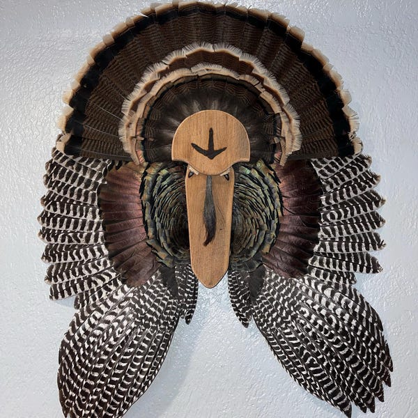 Classic Turkey Fan Mount - Etsy