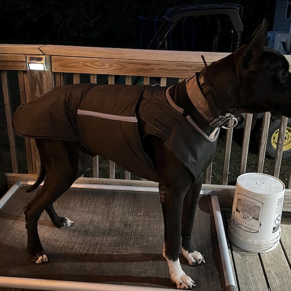Great Dane Extra Warm Winter Dog Coat Dog Jacket With Underbelly ...