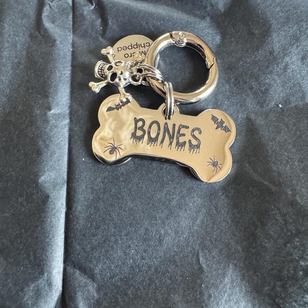 Engraved Cat Name Tag in Stainless Steel /personalized Cat ID Tags/cat ...