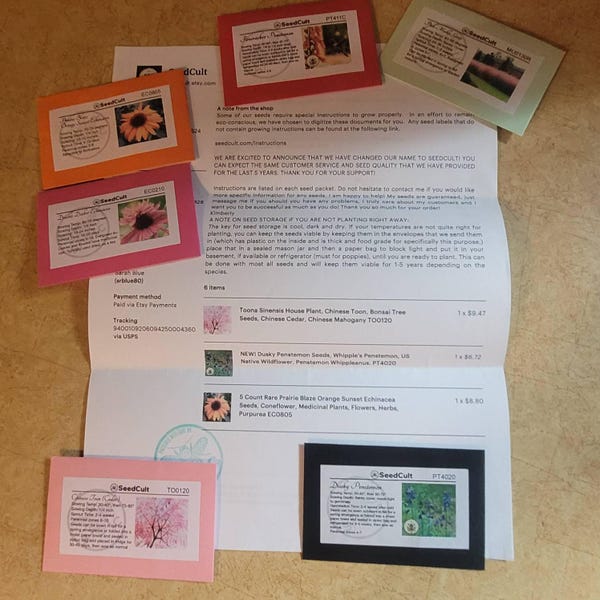 Billy Button Seeds, Craspedia, Billy Balls, Craspedia Globosa CD0150 - Etsy