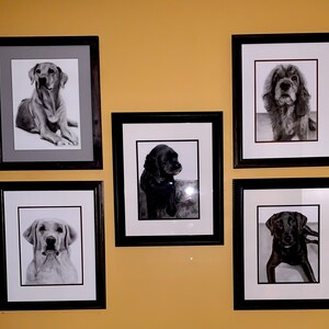 Custom Pet Drawing,pet Memorial, Custom Pet Portrait, Photo to Sketch ...