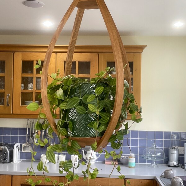 Steam Bent Oak Hanging Planter - Wall Mounted - Etsy